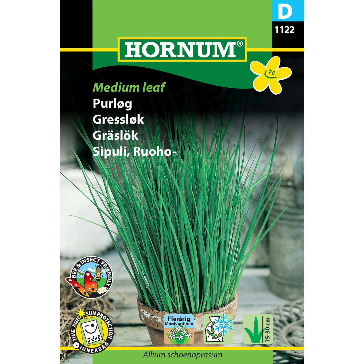 Ruohosipuli, Allium 'Staro', siemen, Horum Allium schoenoprasum ...